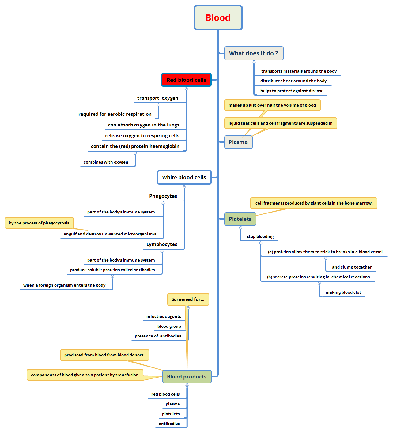 GCSE/IGCSE Biology Mind Map : Blood (example) – e-biology.org.uk