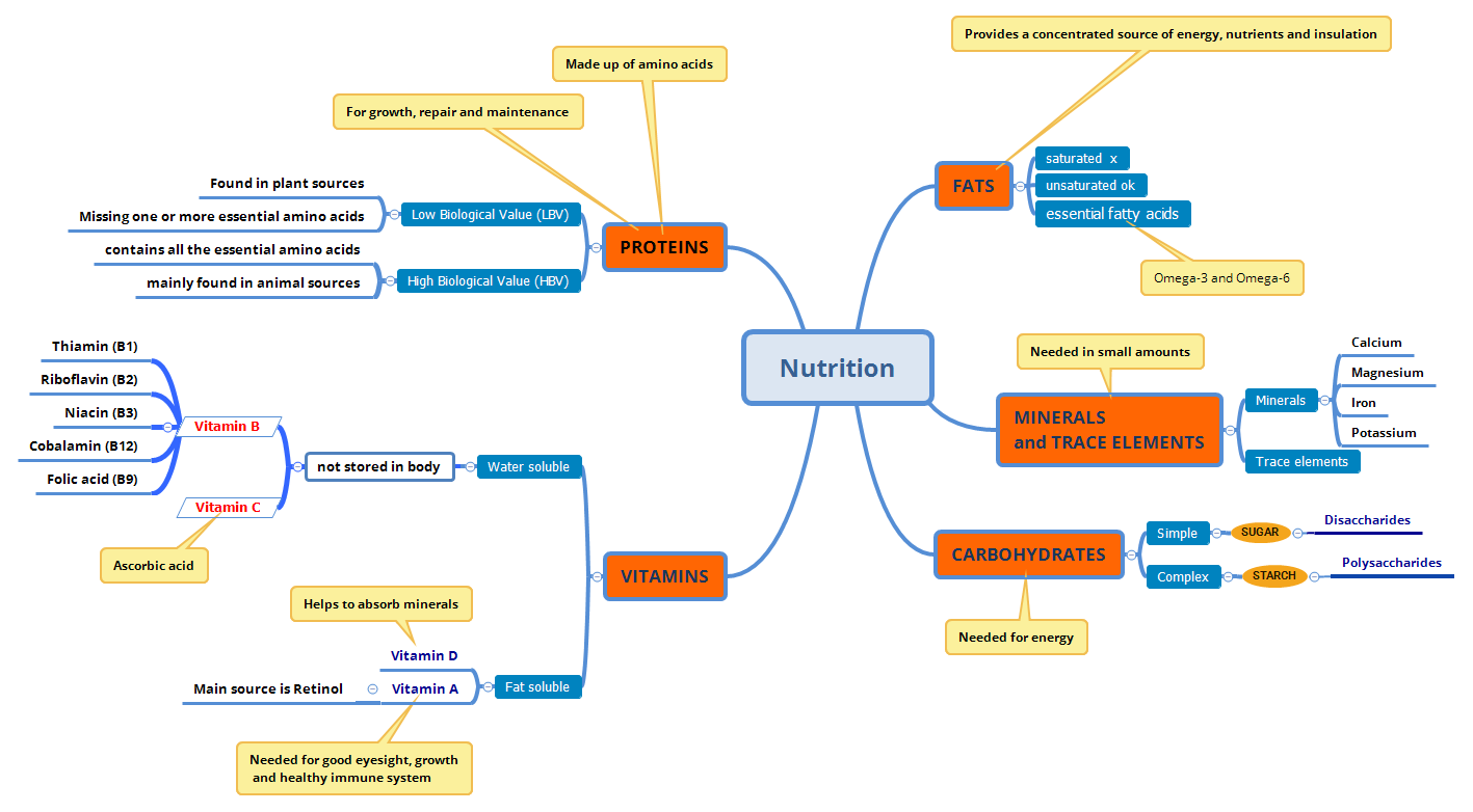 GCSE Biology Mindmap Nutrition example E biology uk GCSE Biology Mindmap Nutrition example E biology uk